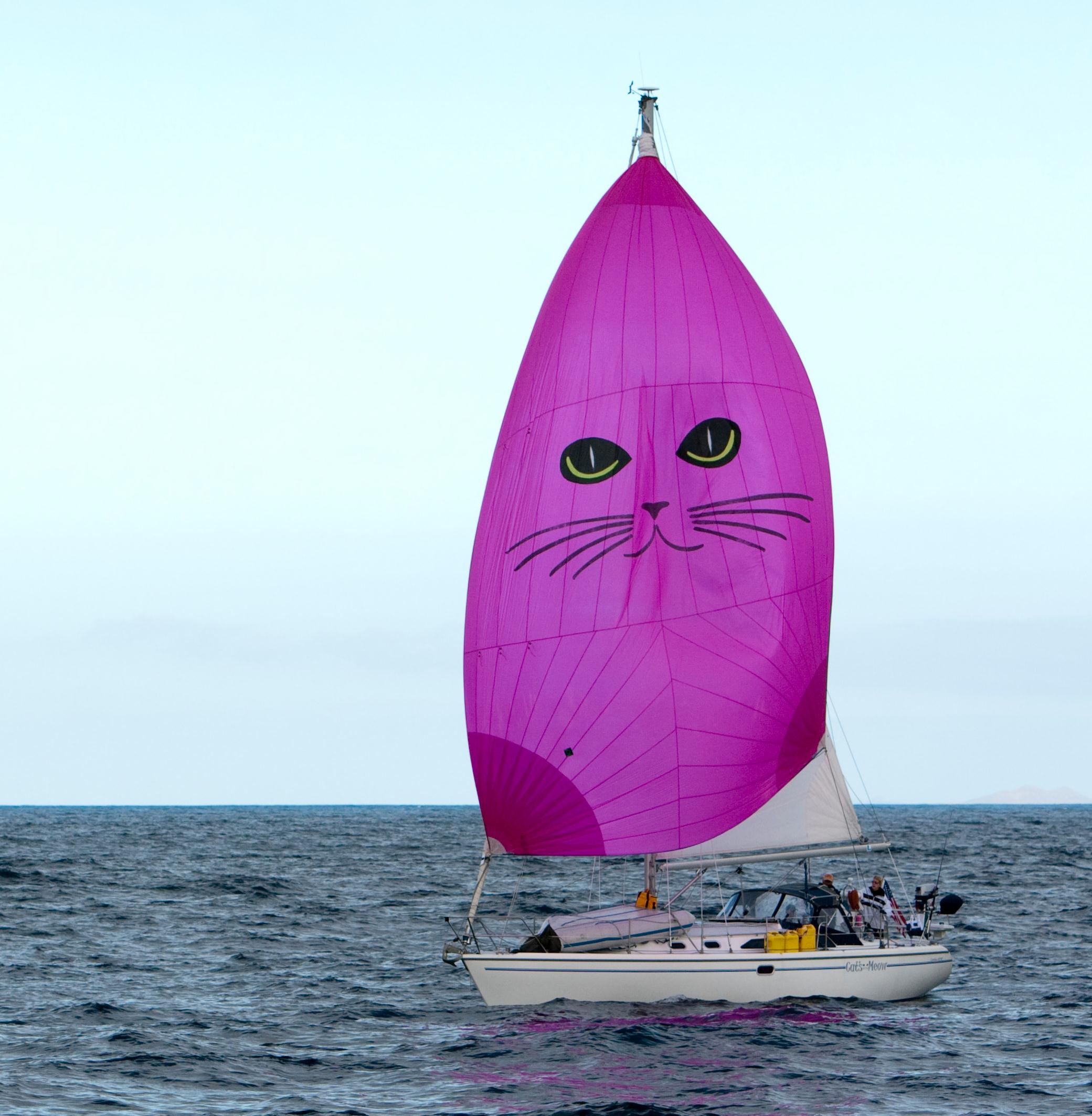 Cat's Meow Sailing off of Turtle Bay in the Baja Ha Ha | Catalina 36/ ...